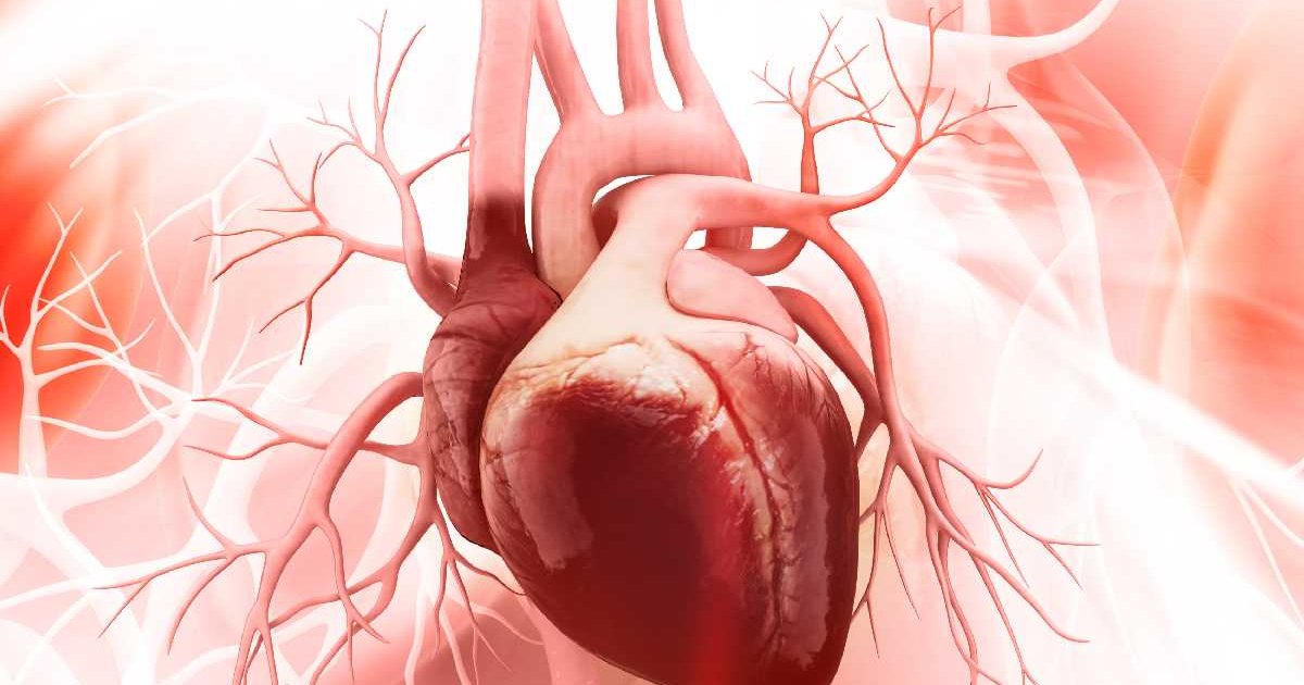 Choroba niedokrwienna serca - przyczyny, objawy, diagnoza, leczenie ...